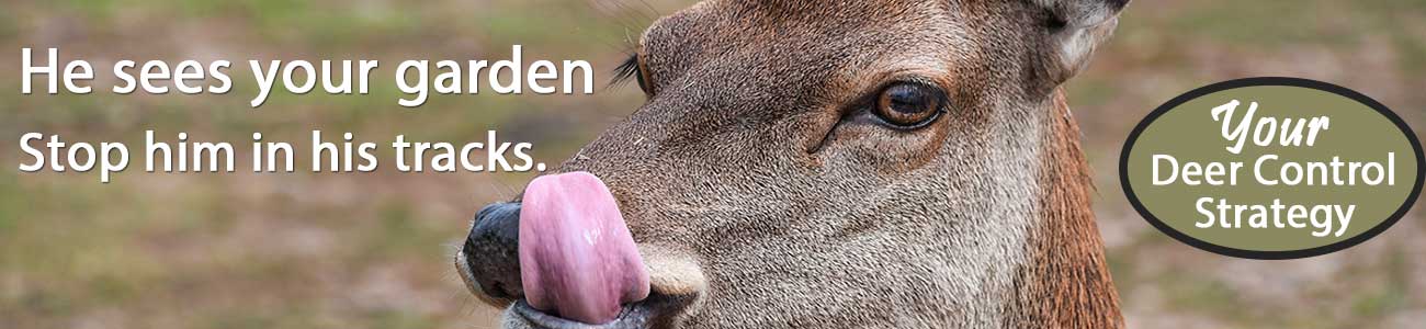 Deer Fence Materials and Supplies