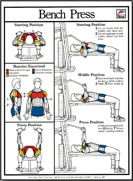 Bench Press Machine Poster - Clinical Charts and Supplies