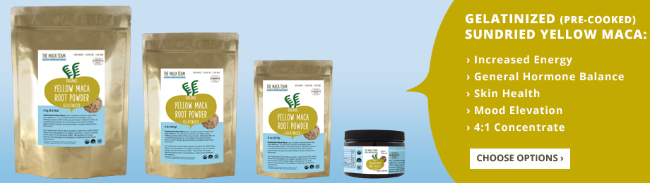 Certified Organic Gelatinized Maca Root Powder | The Maca Team