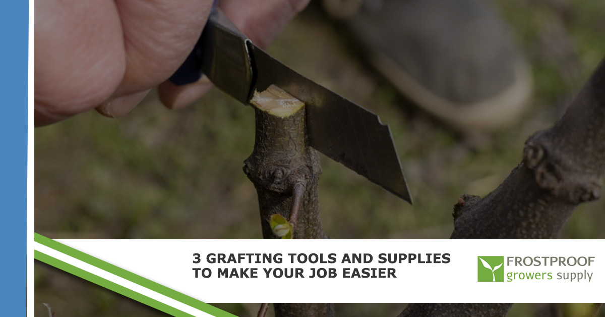 3 Grafting Tools and Supplies To Make Your Job Easier - Frostproof ...