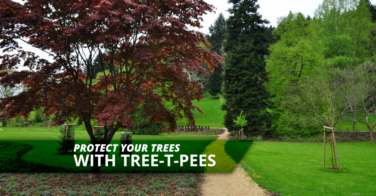 Protect Your Trees With Tree-T-Pees - Frostproof Growers Supply