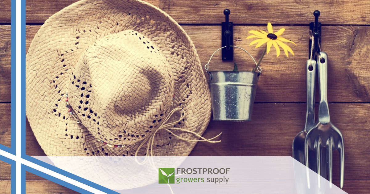 The Lawn and Garden Tools You’ll Want Around for Fall - Frostproof ...