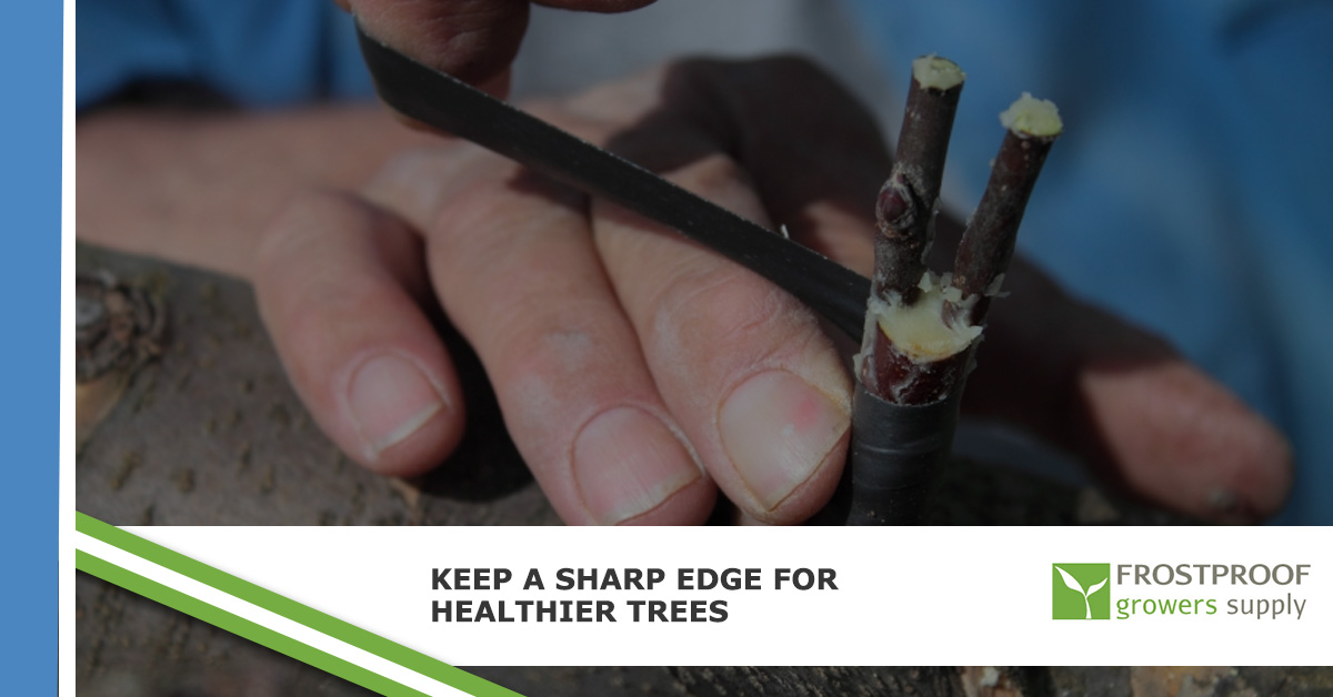 Keep A Sharp Edge For Healthier Trees - Frostproof Growers Supply