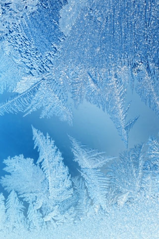 Now That Winter is Coming, How Do You Prepare? - Frostproof Growers Supply