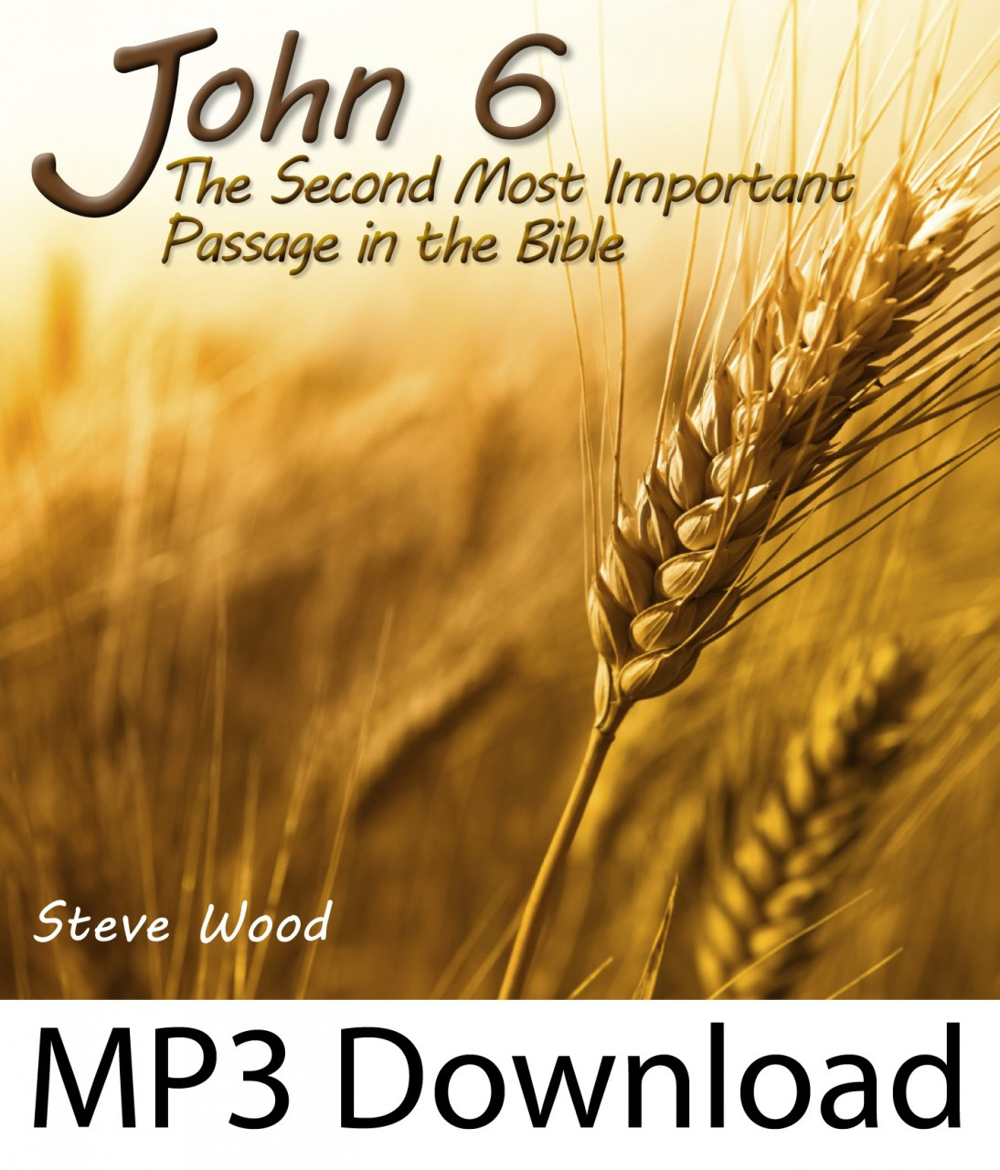 John 6 The Second Most Important Passage In The Bible john-6-the-second-most-important-passage-in-the-bible
