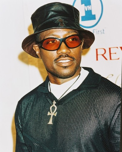Wesley Snipes Posters And Photos 246197 Movie Store
