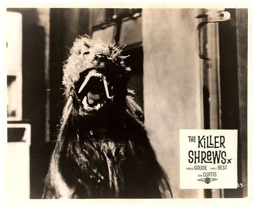 The Killer Shrews 1959 shrew bares it fangs 8x10 inch photo - The Movie ...