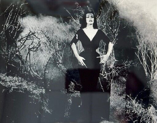 Plan 9 From Outer Space 1959 Maila Nurmi as Vampira in graveyard 8x10 ...