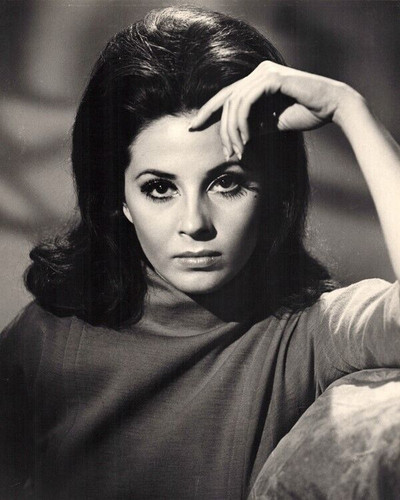 Barbara Parkins 1969 publicity portrait The Kremlin Letter 8x10 inch ...