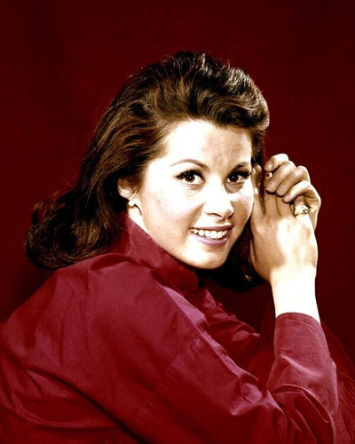 Stefanie Powers 1960's era smiling studio publicity 8x10 inch real ...