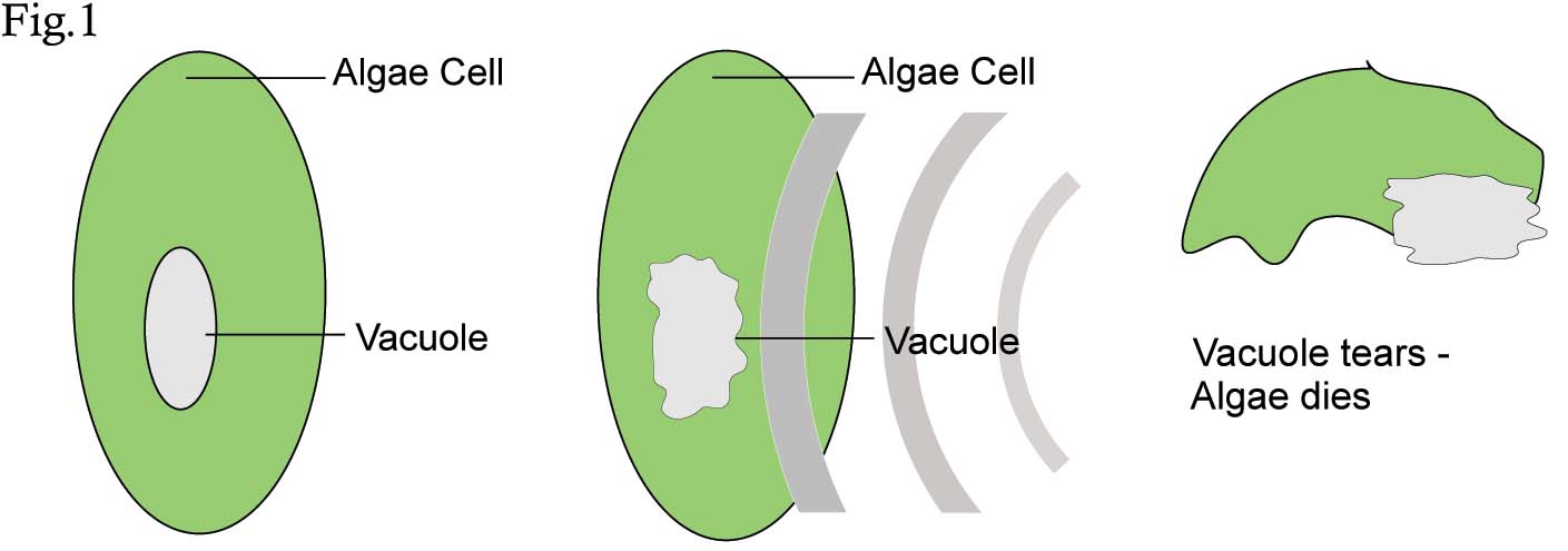Ultra Sonic Algae Control - How It Works