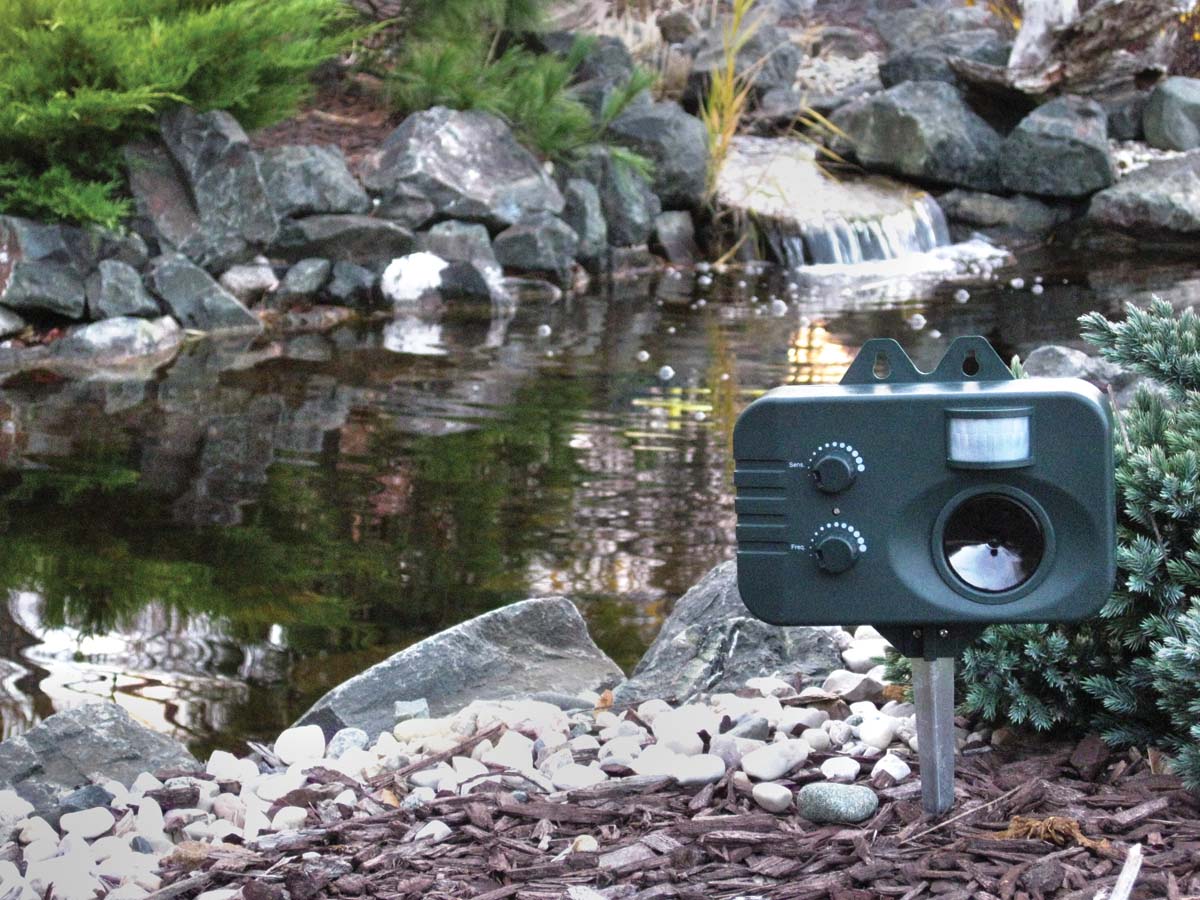 Ultra Sonic Algae Control - How It Works