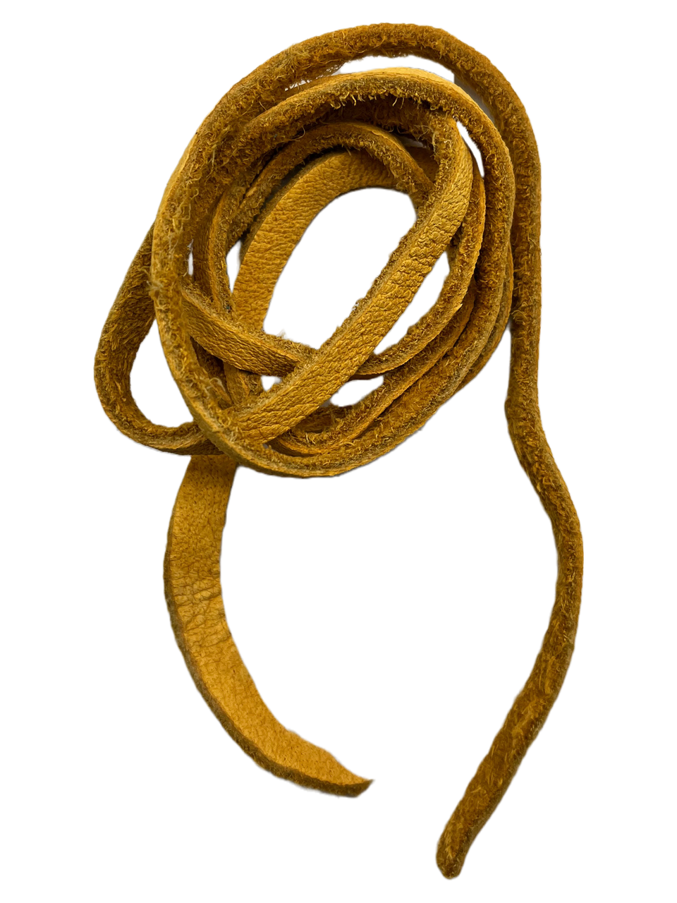 DEER LACE STRIP GOLD 30-36" LEATHER - Western Varieties