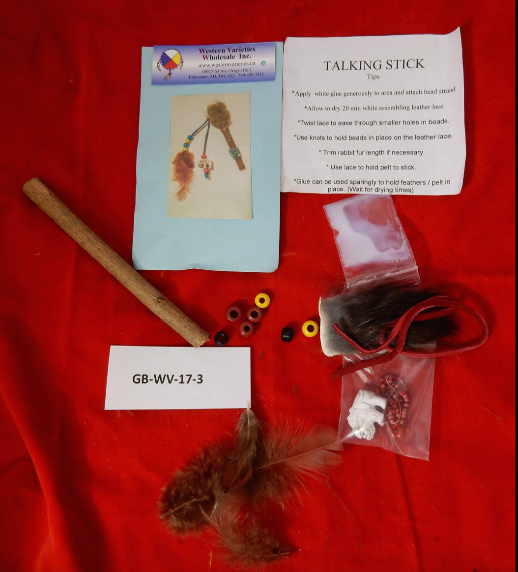 GB#17-3 TALKING STICK CRAFT KIT - Western Varieties