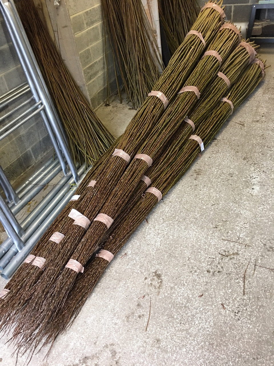 100 x Salix Viminalis 2.0 metre Willow Rods / Whips - Yorkshire Willow ...