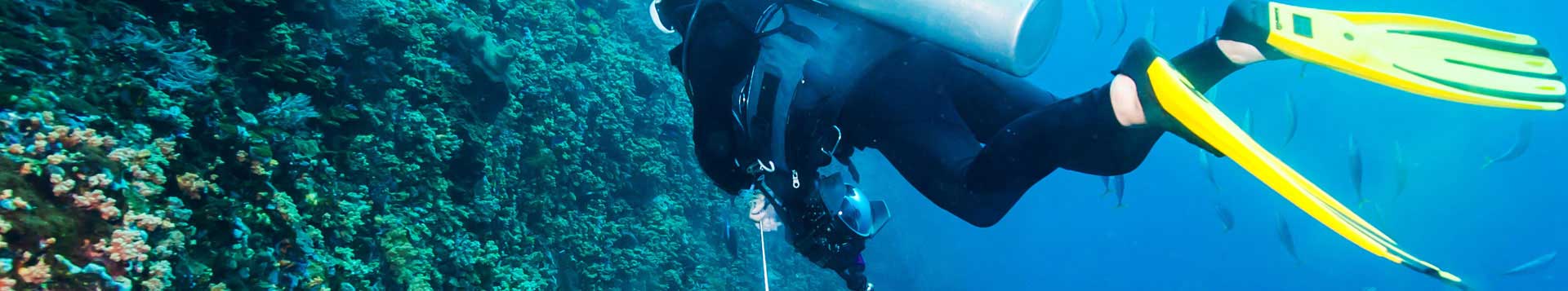 Surf Flippers & Surf Fins | Fishing Tackle Shop