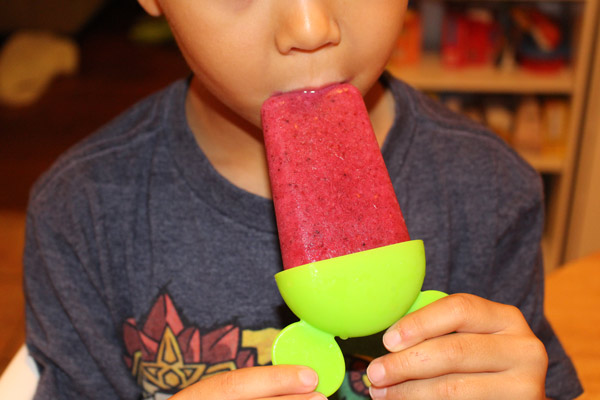 DIY: Berry Pops - Spark and Spark