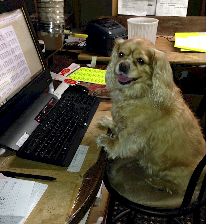 Shipping And Customer Care - How To Mail Cheese - Mail Cheese | The ...