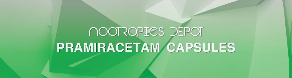 Buy Pramiracetam Capsules | Nootropics Depot